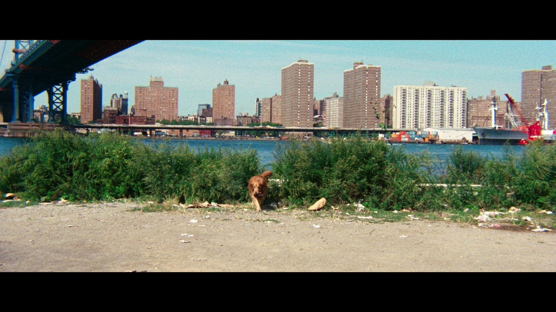 The New York Ripper (Blue Underground) Blu-ray Review