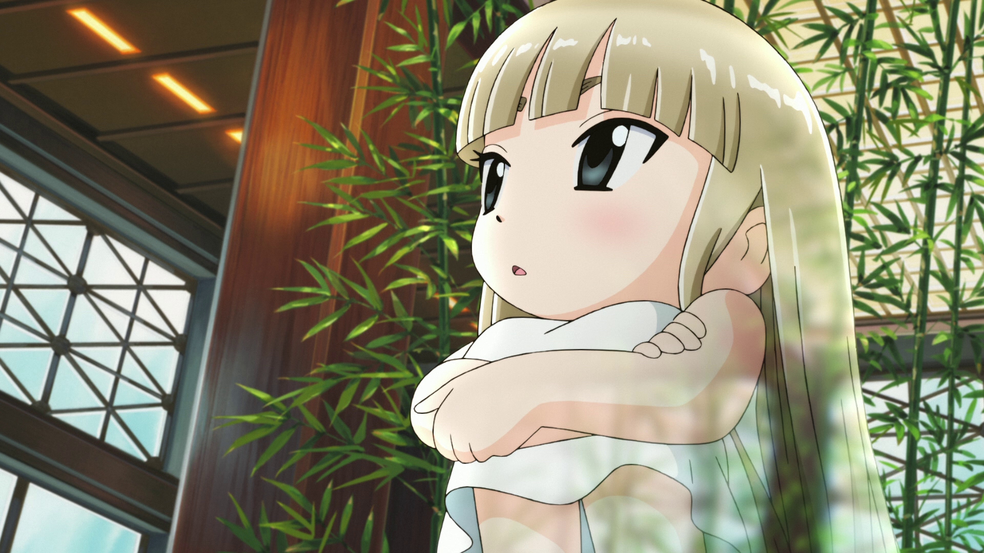 Okko's Inn Blu-ray Review