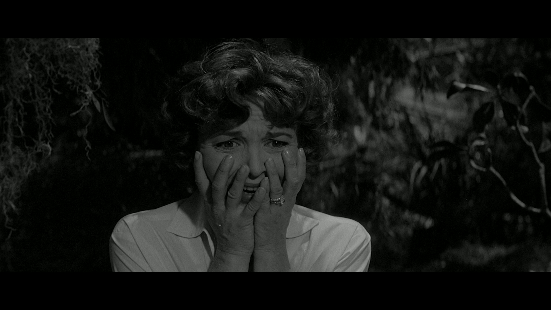 The Alligator People Blu-ray Review