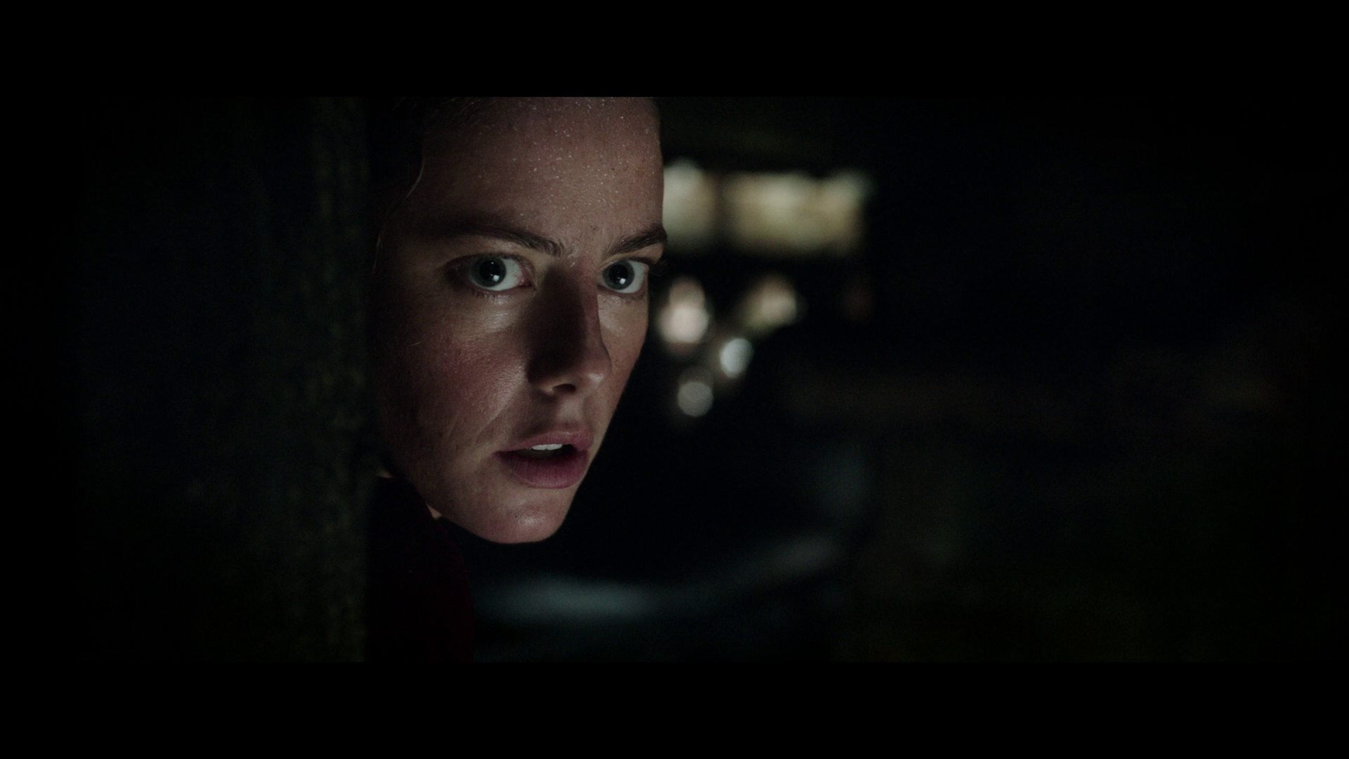 Crawl Blu-ray Review