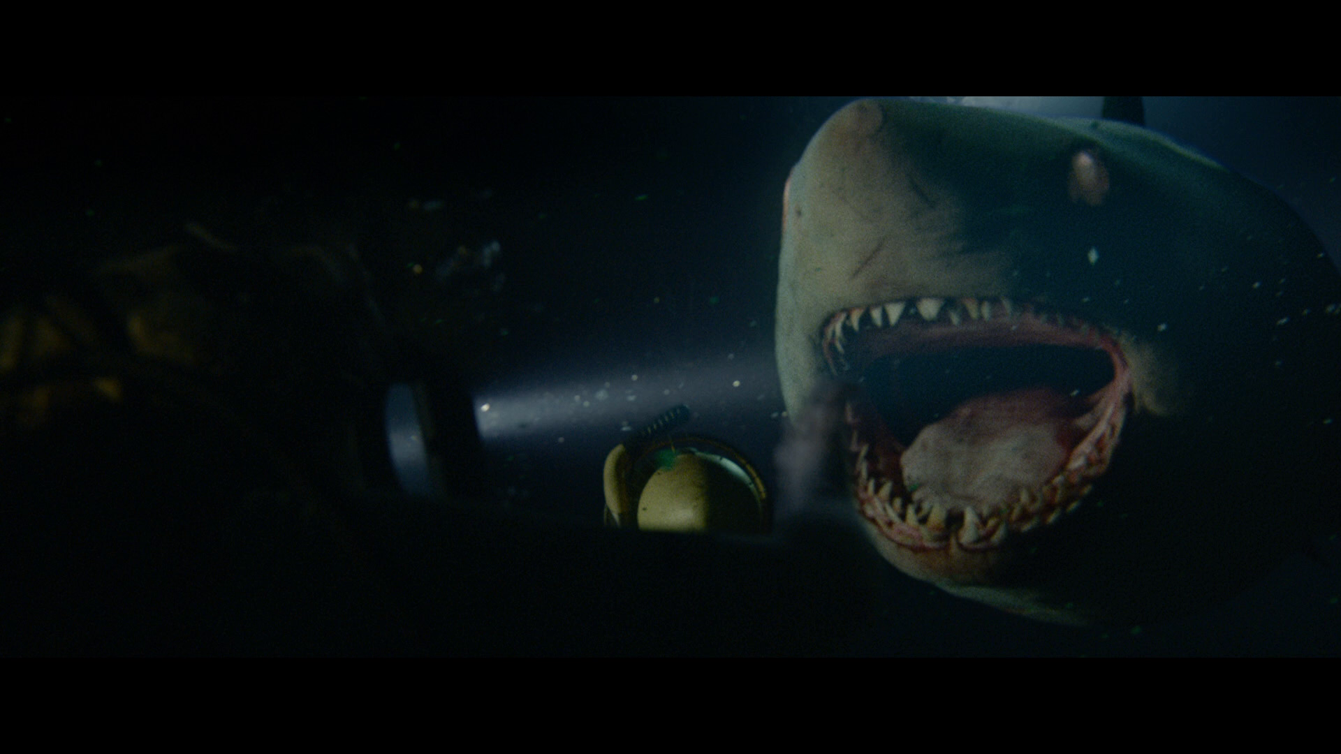 47 Meters Down: Uncaged Blu-ray Review with HD Screenshots