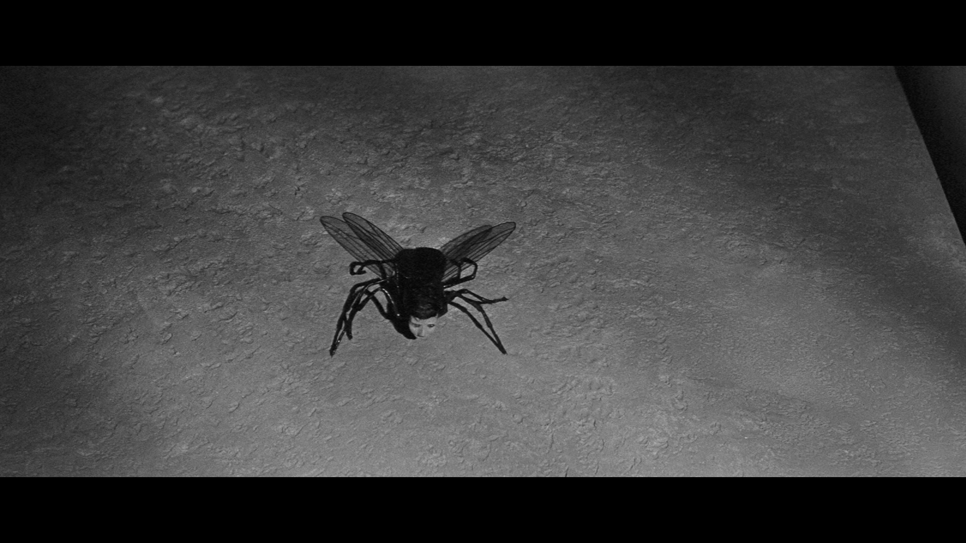 Return of the Fly Blu-ray Review with HD Screenshots