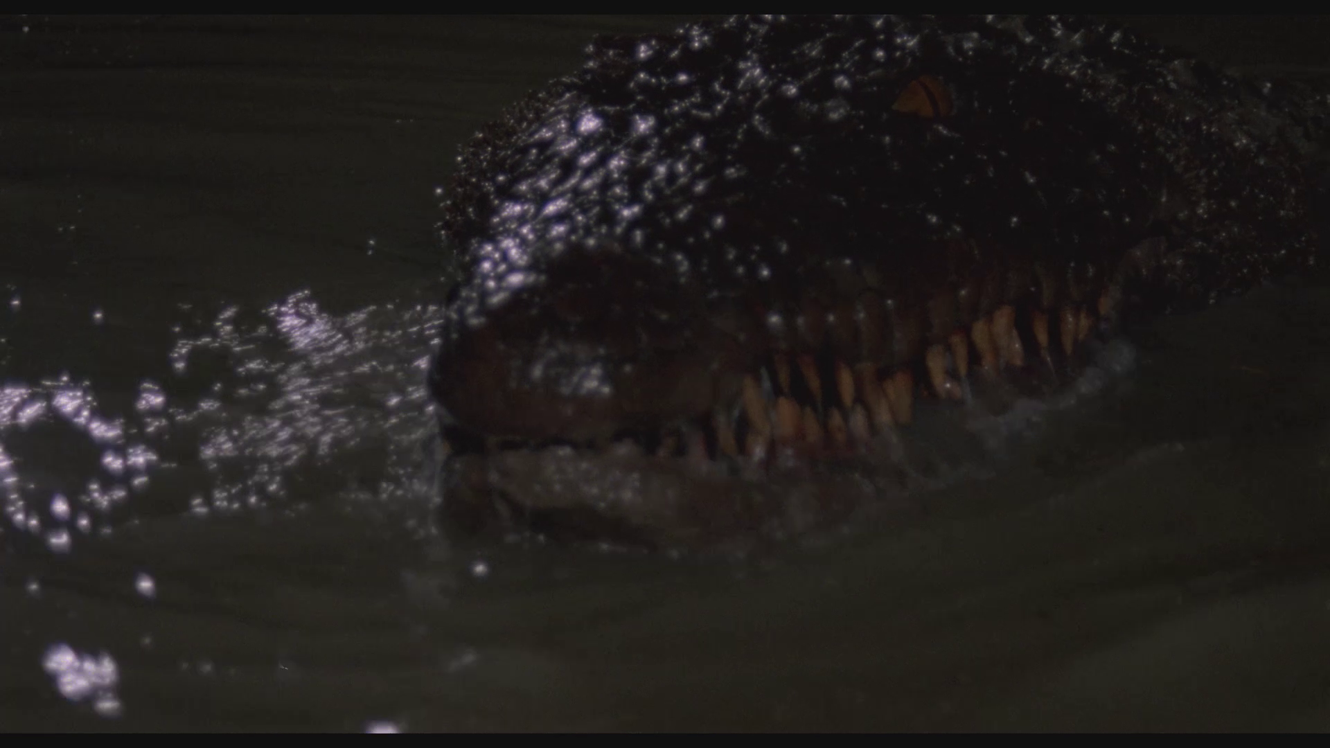 Killer Crocodile Blu-ray Review with HD Screenshots