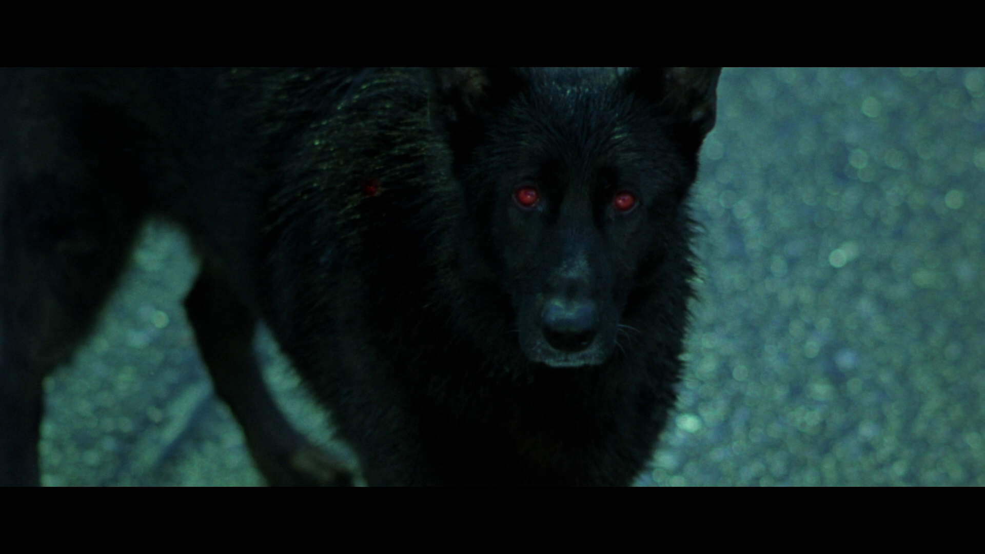 Bones (2001) Blu-ray Review with HD Screenshots