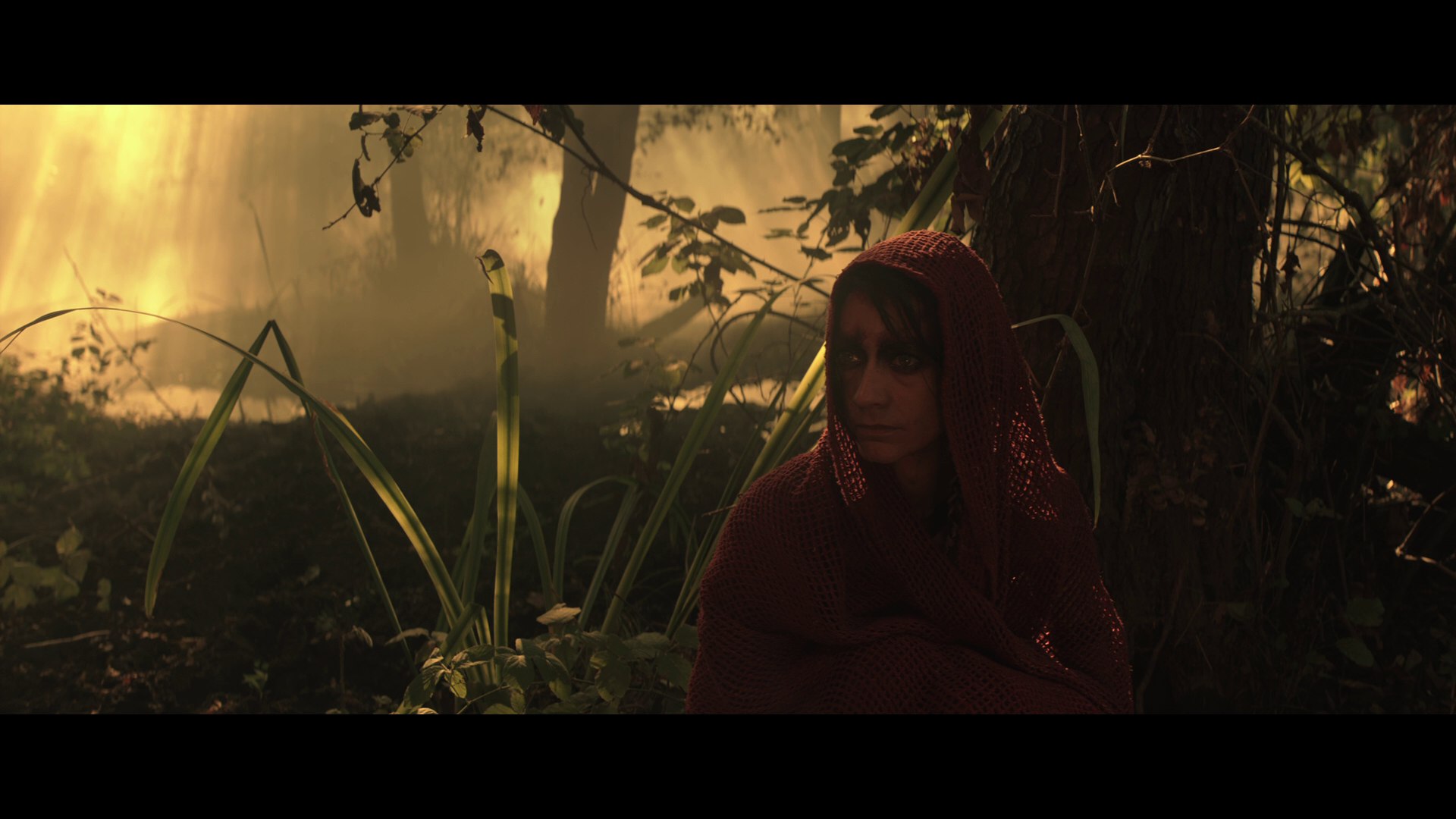 The First King: Birth of an Empire Blu-ray Review with HD Screenshots