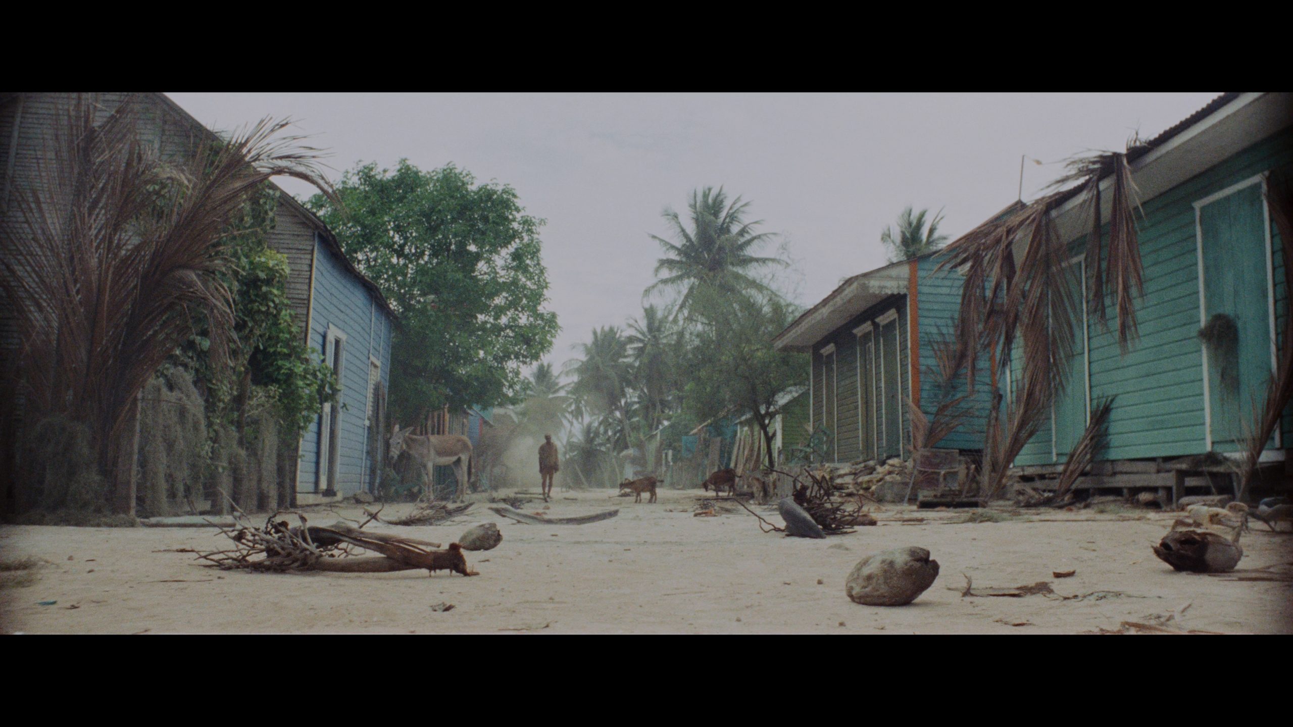 Zombie (1979) 4K UHD Review