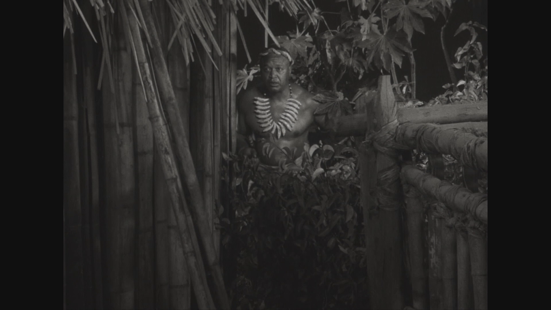 Jungle Queen Blu-ray Review