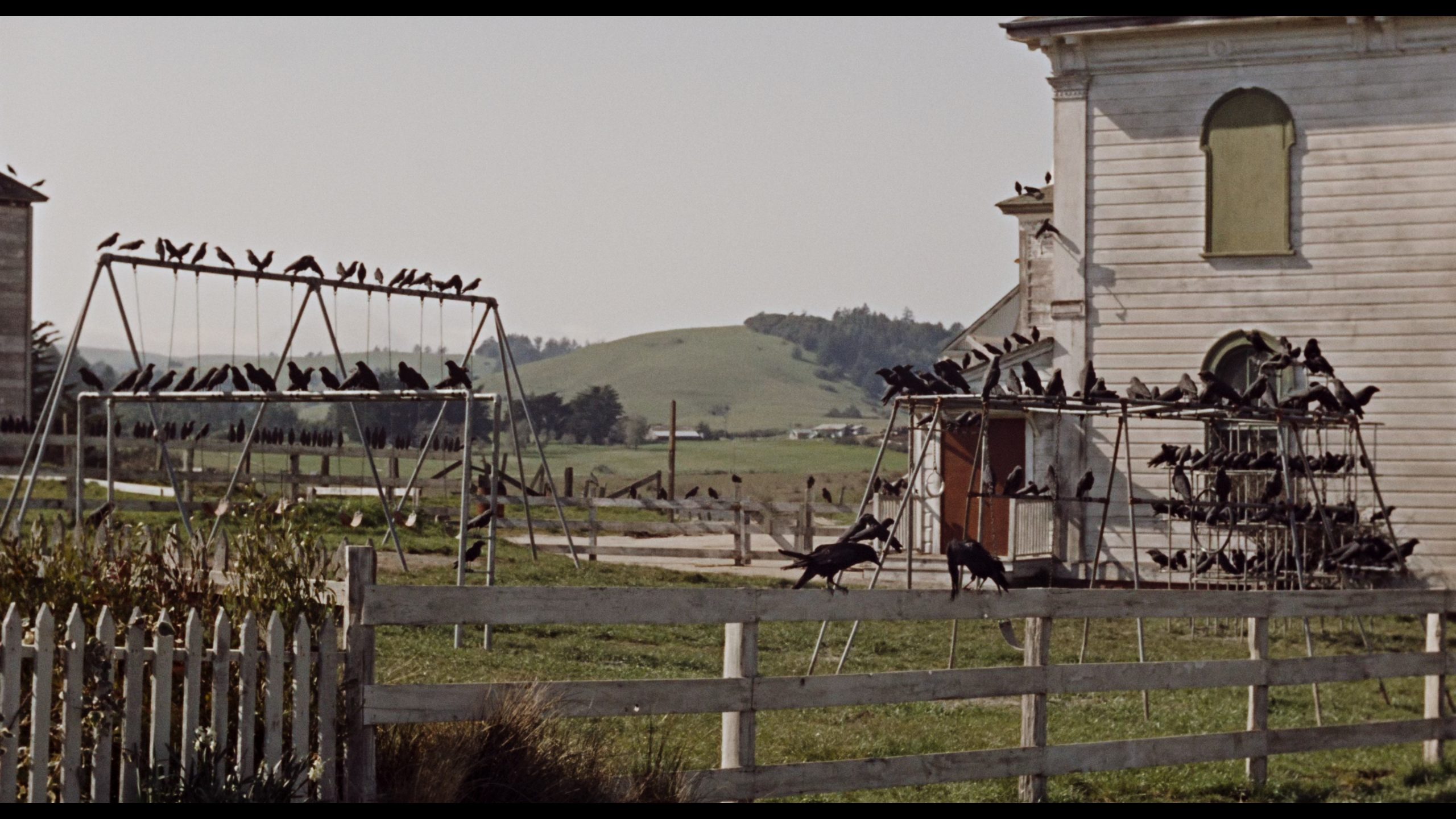 The Birds 4K UHD Review