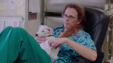 DoBlu.com – 4K UHD & Blu-ray Reviews | The Dog Doc Blu-ray Review