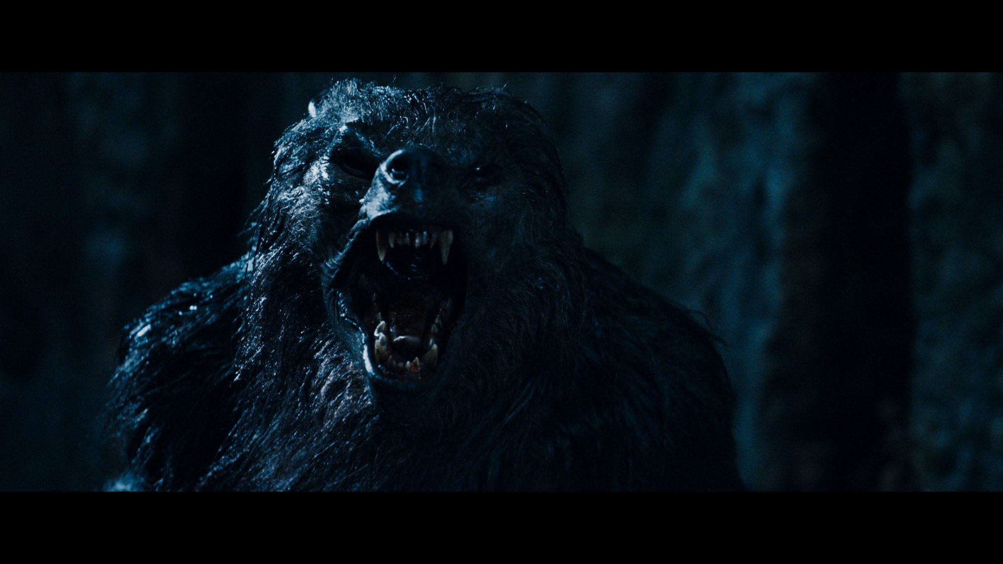 DoBlu.com – 4K UHD & Blu-ray Reviews | Underworld: Rise of the Lycans ...