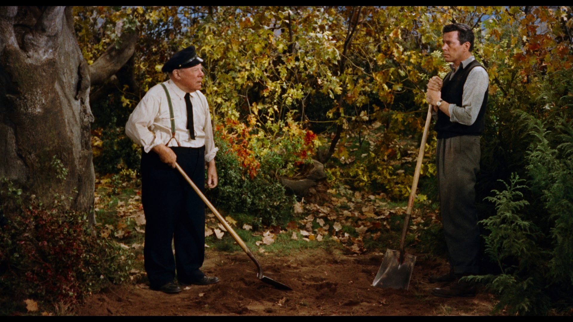 DoBlu.com – 4K UHD & Blu-ray Reviews | The Trouble with Harry 4K UHD Review