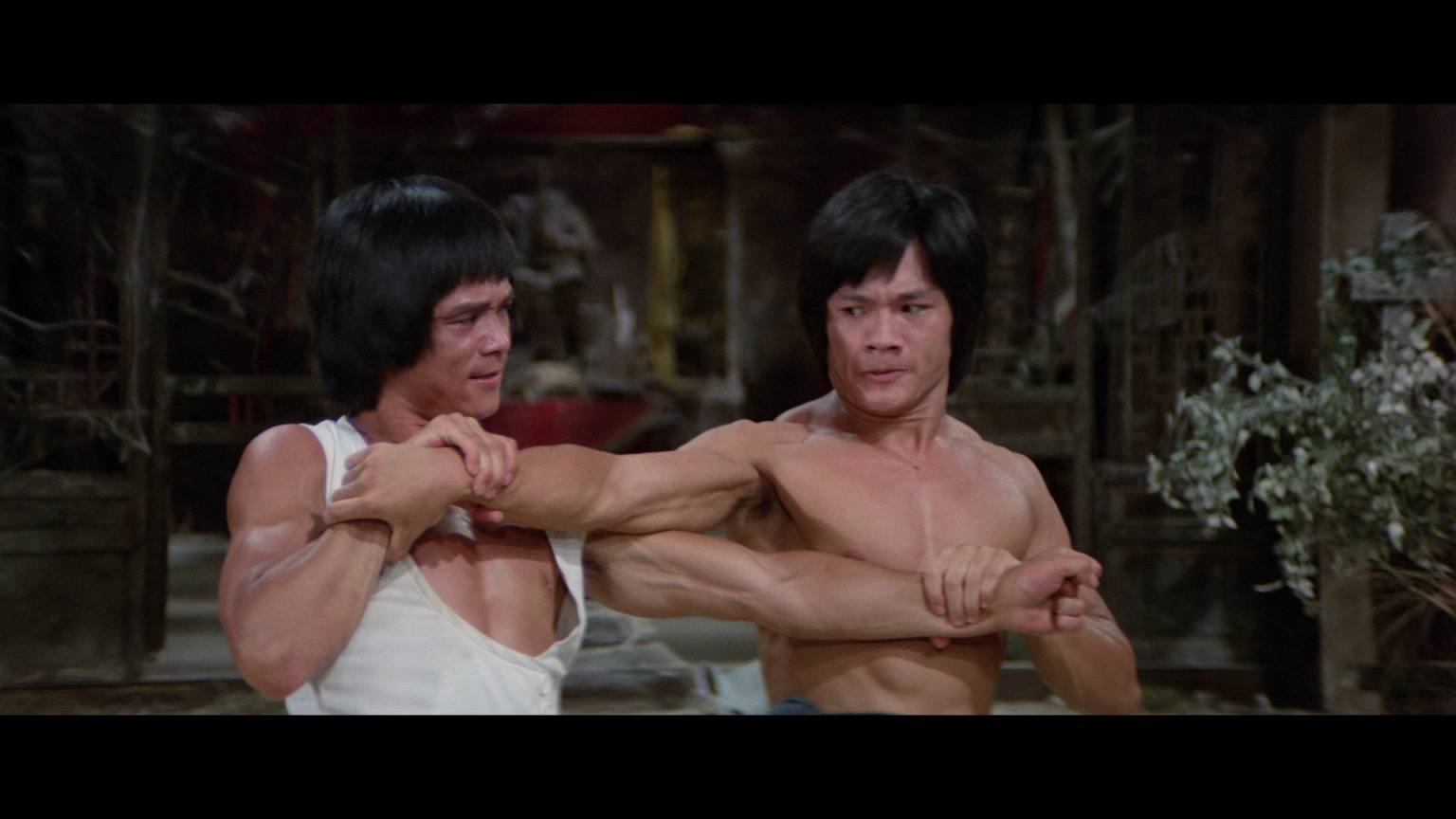 DoBlu.com – 4K UHD & Blu-ray Reviews | The Magnificent Ruffians Blu-ray ...