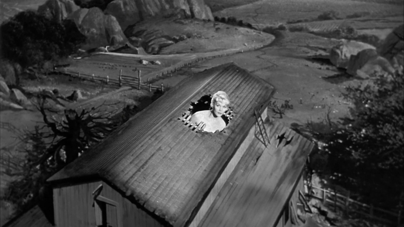 DoBlu.com – 4K UHD & Blu-ray Reviews | The 30 Foot Bride of Candy Rock ...