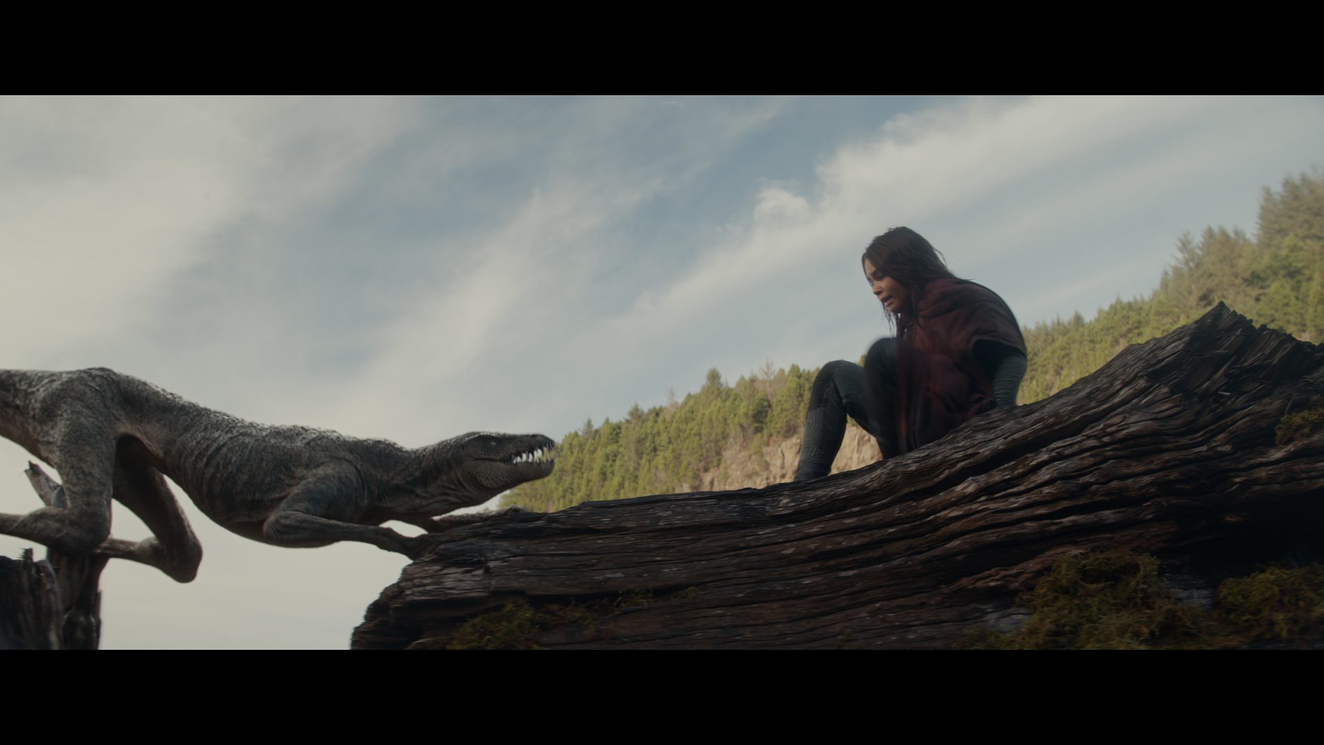 DoBlu.com – 4K UHD & Blu-ray Reviews | 65 4K UHD Review