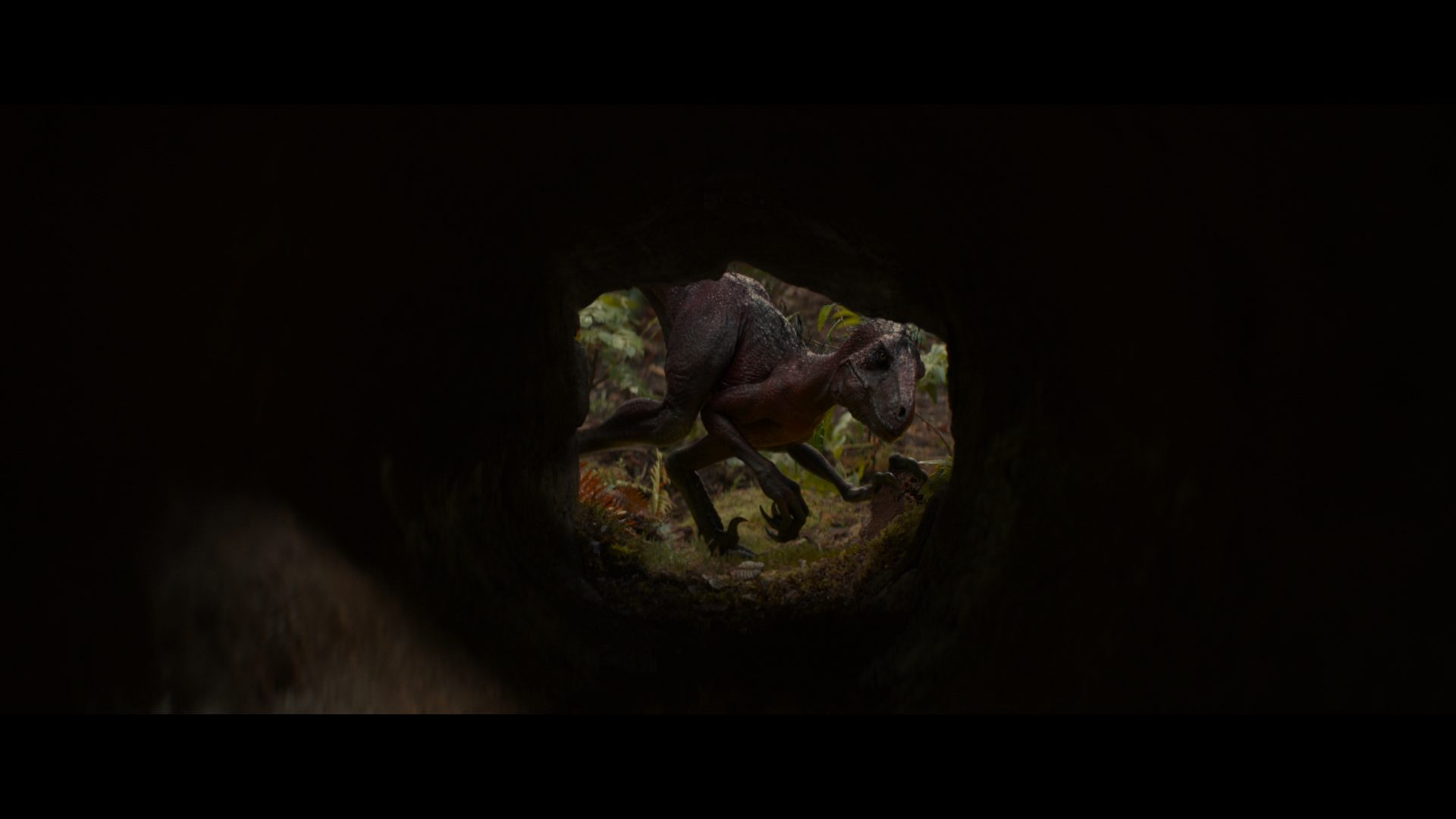 DoBlu.com – 4K UHD & Blu-ray Reviews | 65 4K UHD Review