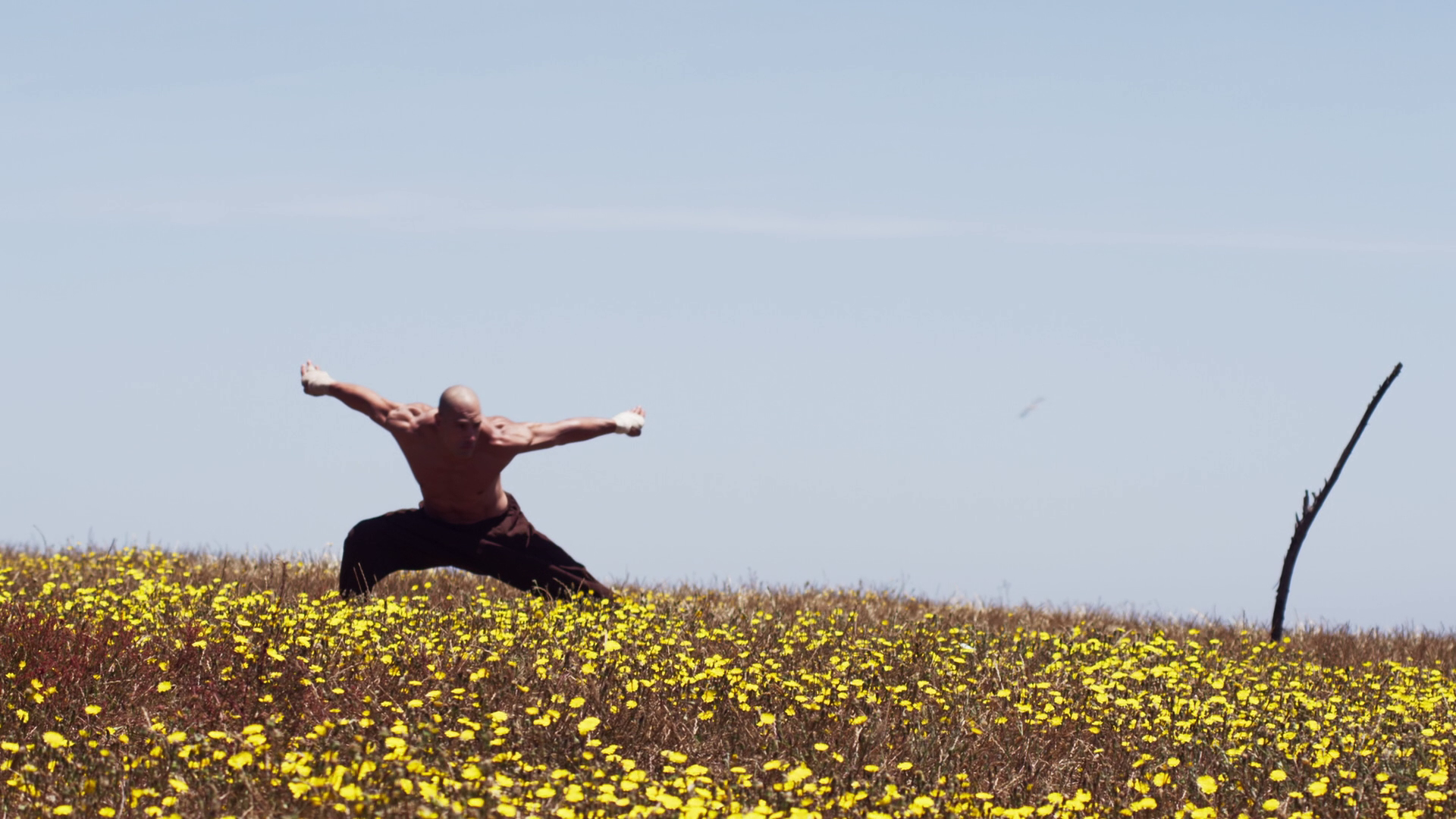 DoBlu.com – 4K UHD & Blu-ray Reviews | Fist of the Condor Blu-ray Review