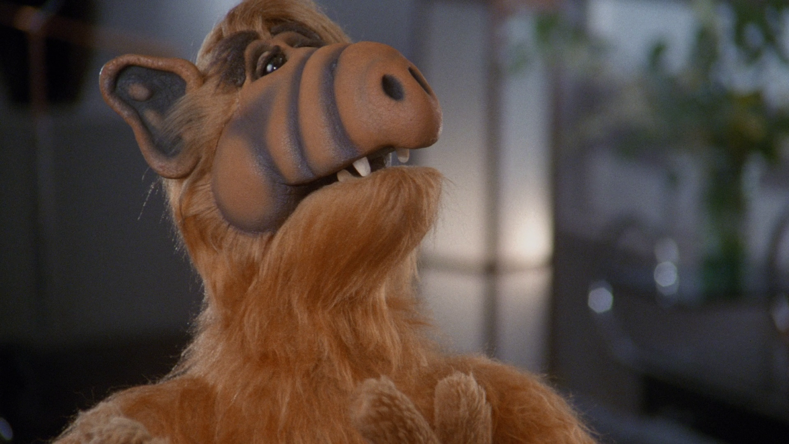 DoBlu.com – 4K UHD & Blu-ray Reviews | Project: Alf Blu-ray Review