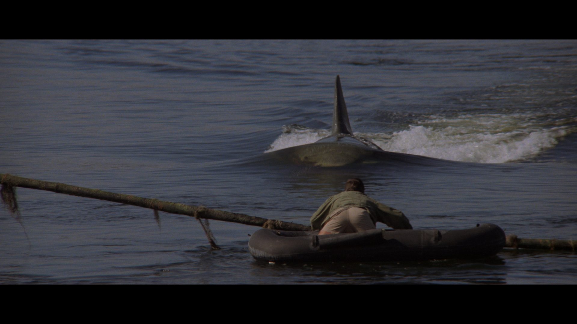 DoBlu.com – 4K UHD & Blu-ray Reviews | Jaws 2 4K UHD Review