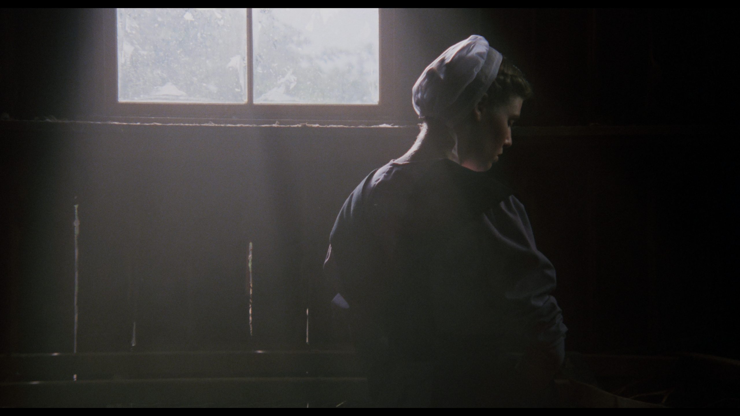 DoBlu.com – 4K UHD & Blu-ray Reviews | Witness 4K UHD Review