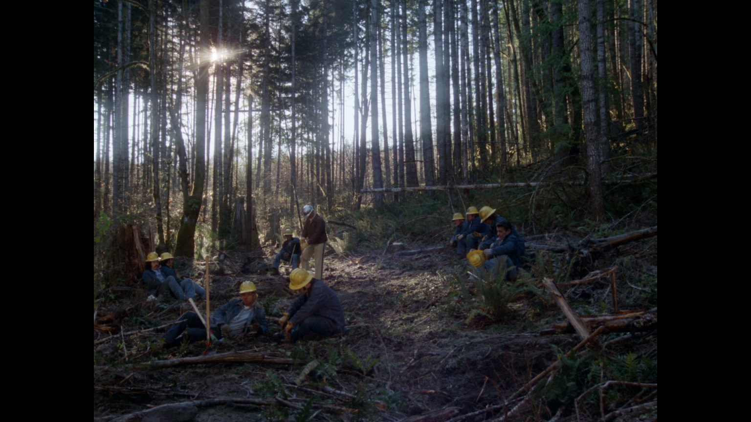 DoBlu.com – 4K UHD & Blu-ray Reviews | Fire (1977) Blu-ray Review