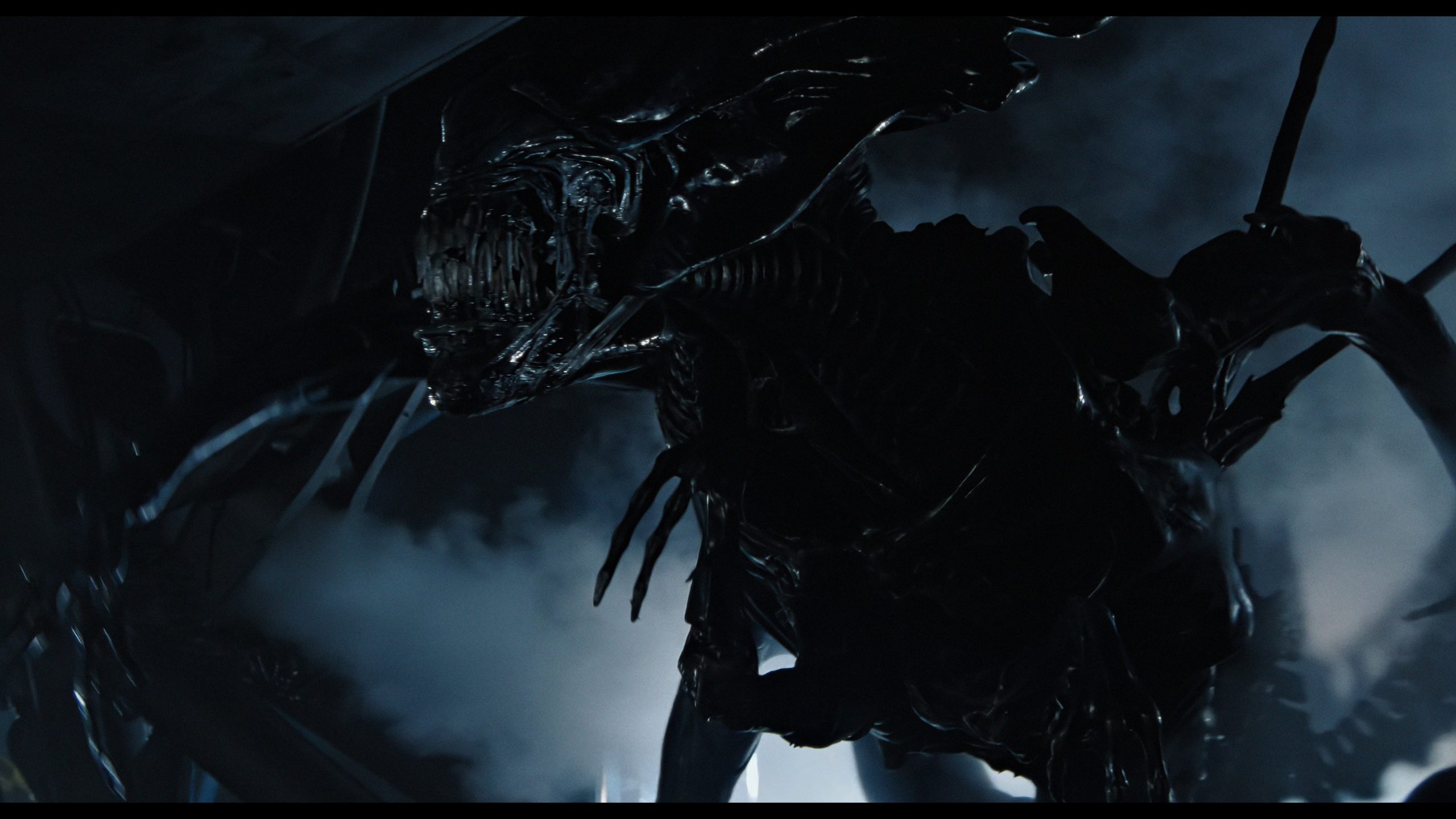 DoBlu.com – 4K UHD & Blu-ray Reviews | Aliens 4K UHD Review