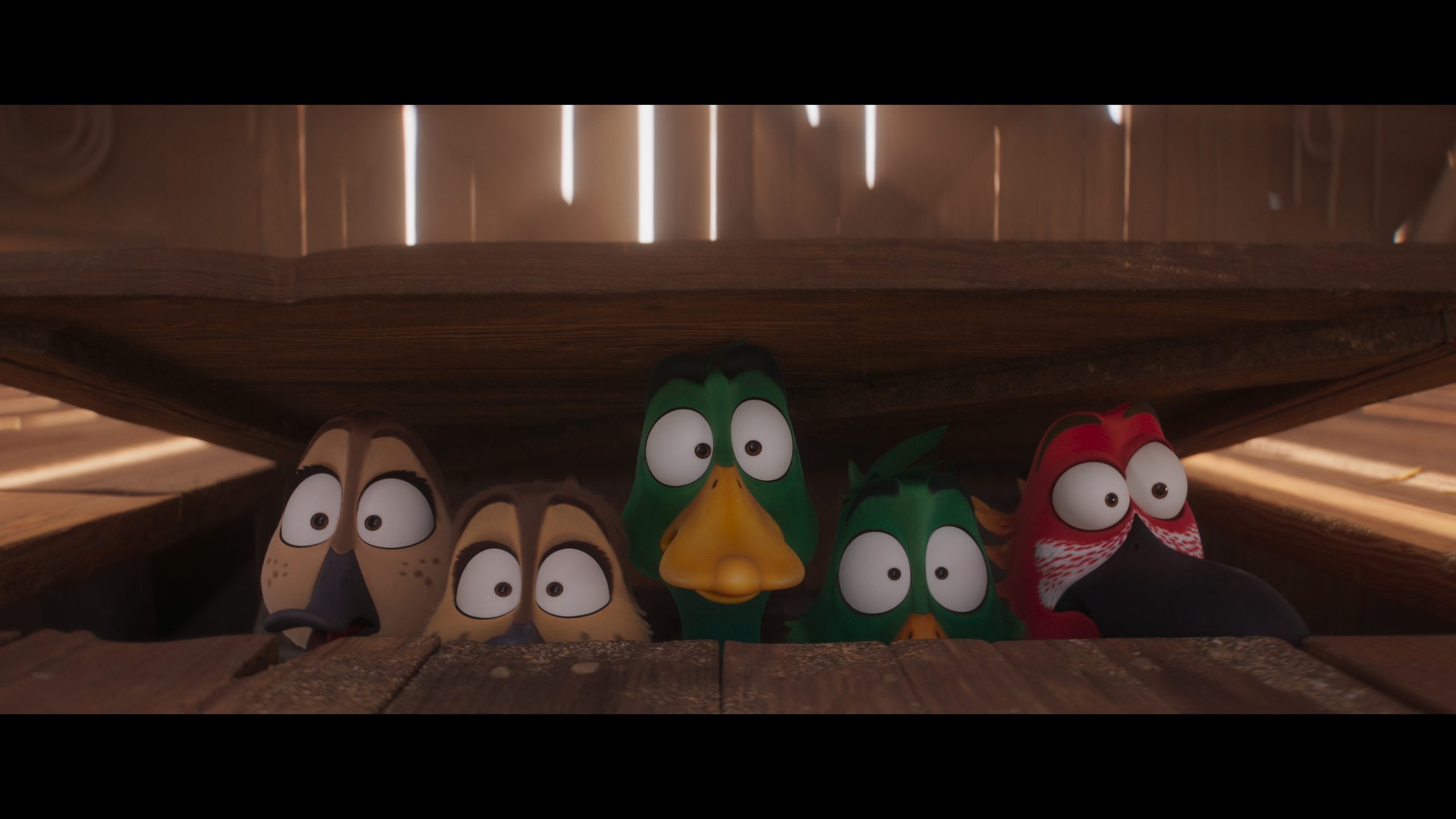 DoBlu.com – 4K UHD & Blu-ray Reviews | Migration 4K UHD Review