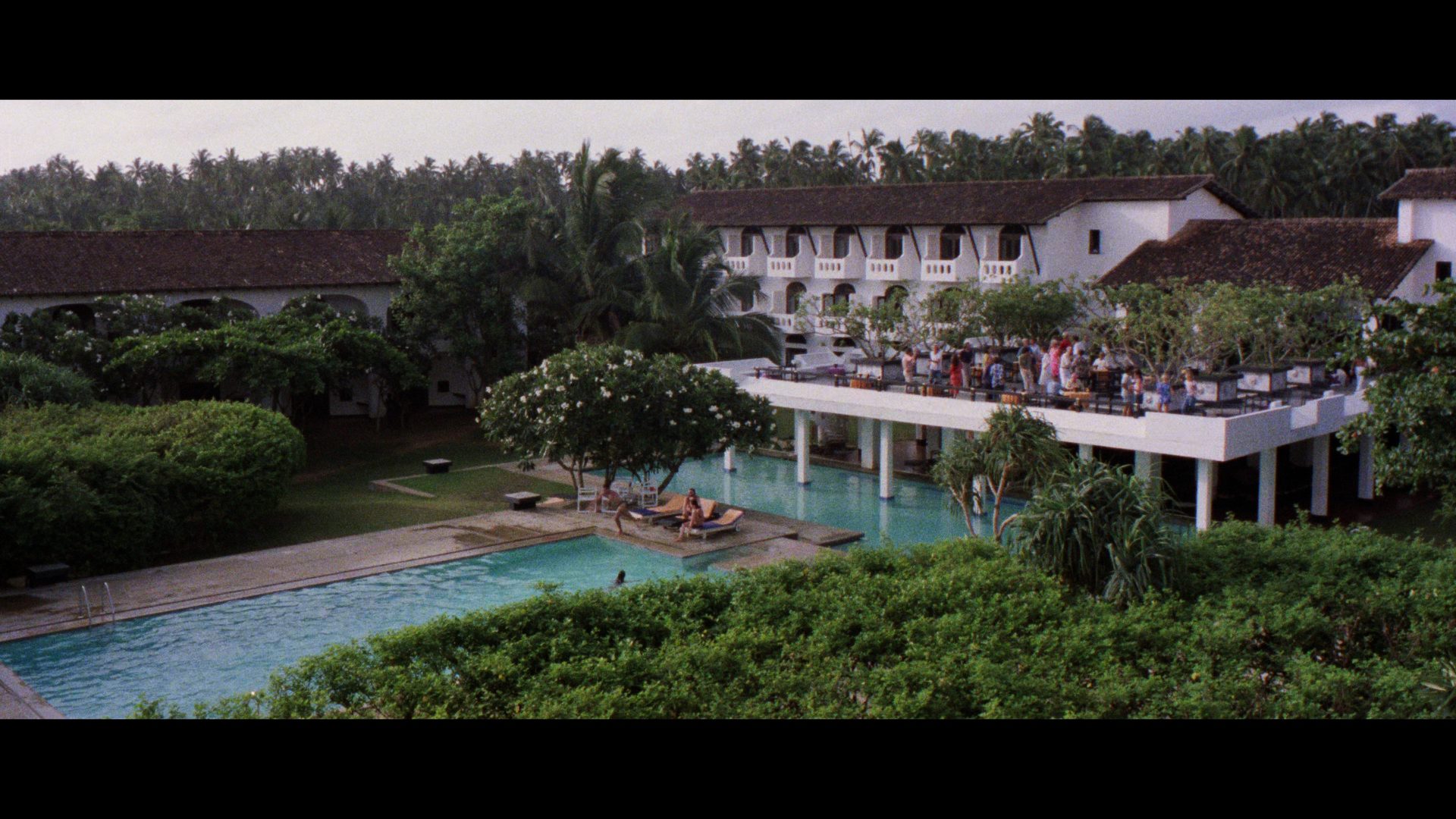 DoBlu.com – 4K UHD & Blu-ray Reviews | The Great Alligator 4K UHD Review