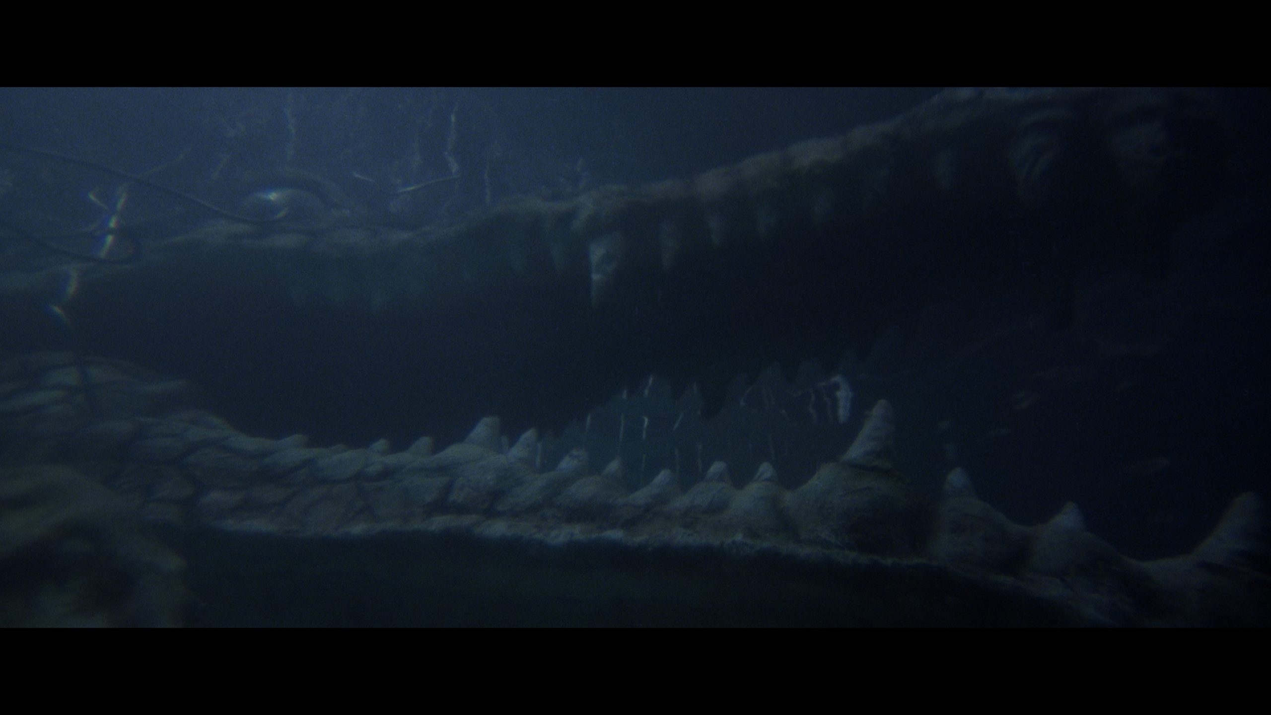 DoBlu.com – 4K UHD & Blu-ray Reviews | The Great Alligator 4K UHD Review