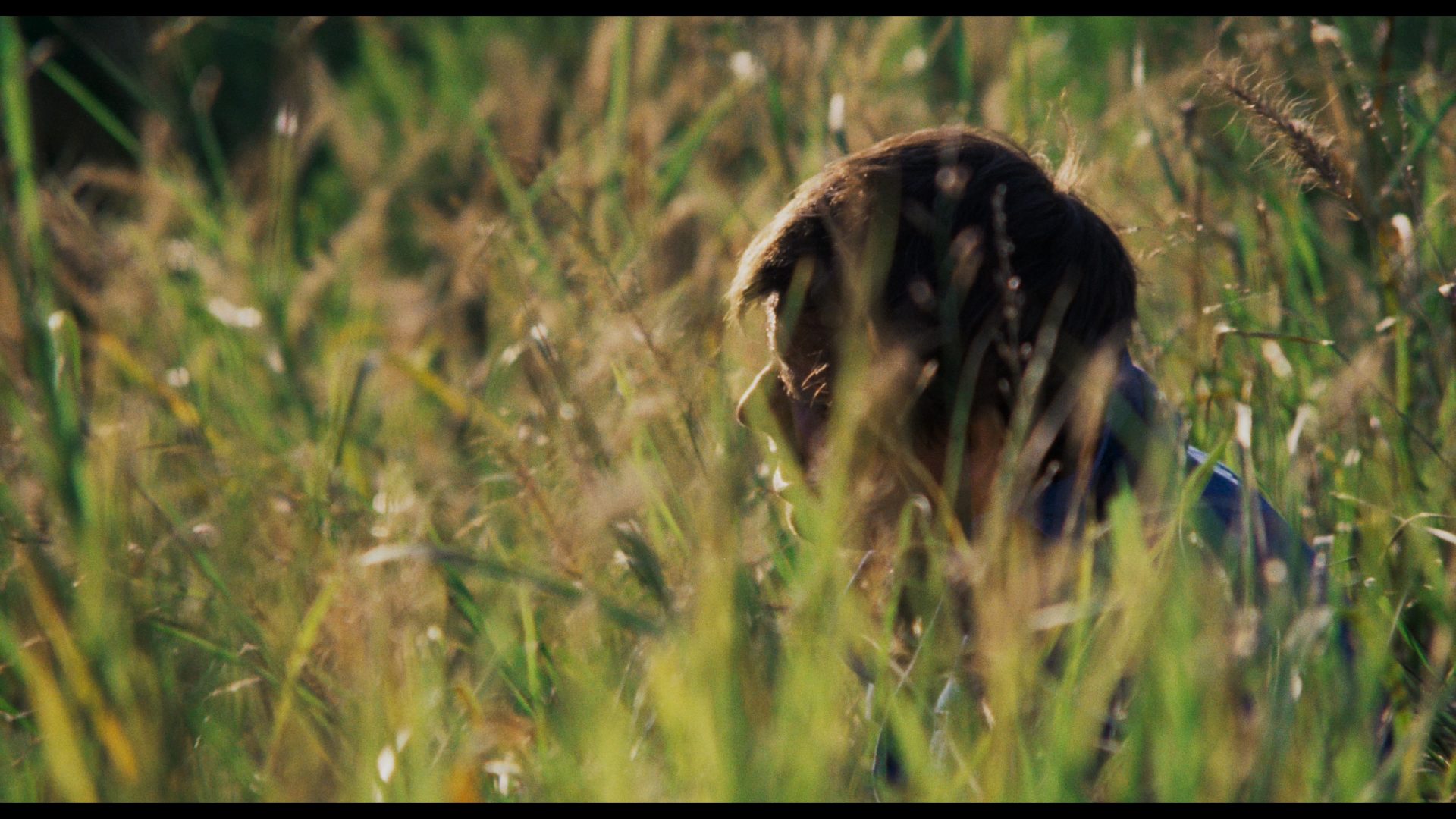 DoBlu.com – 4K UHD & Blu-ray Reviews | Rolling Thunder 4K UHD Review