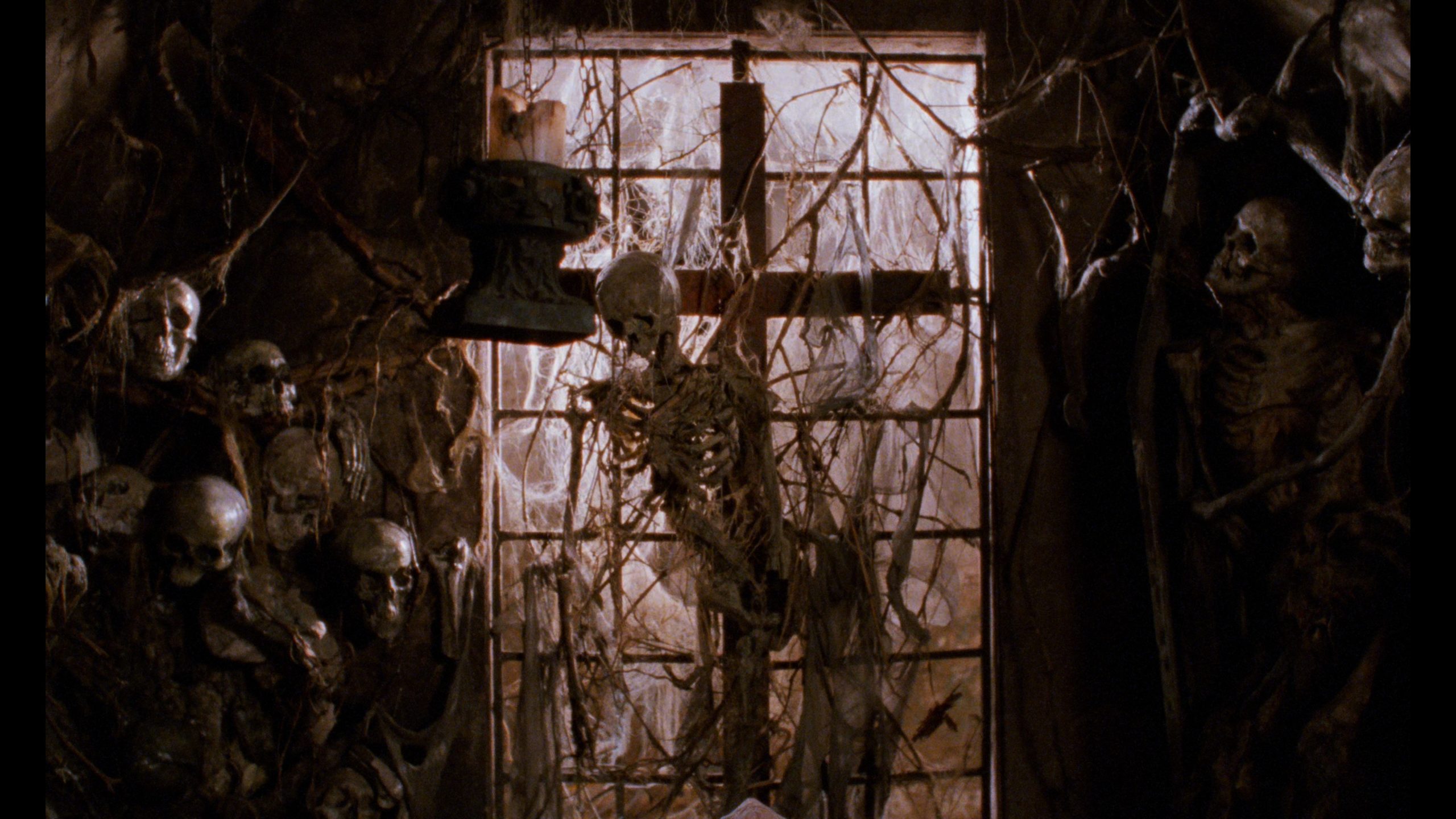 DoBlu.com – 4K UHD & Blu-ray Reviews | Cemetery Man 4K UHD Review