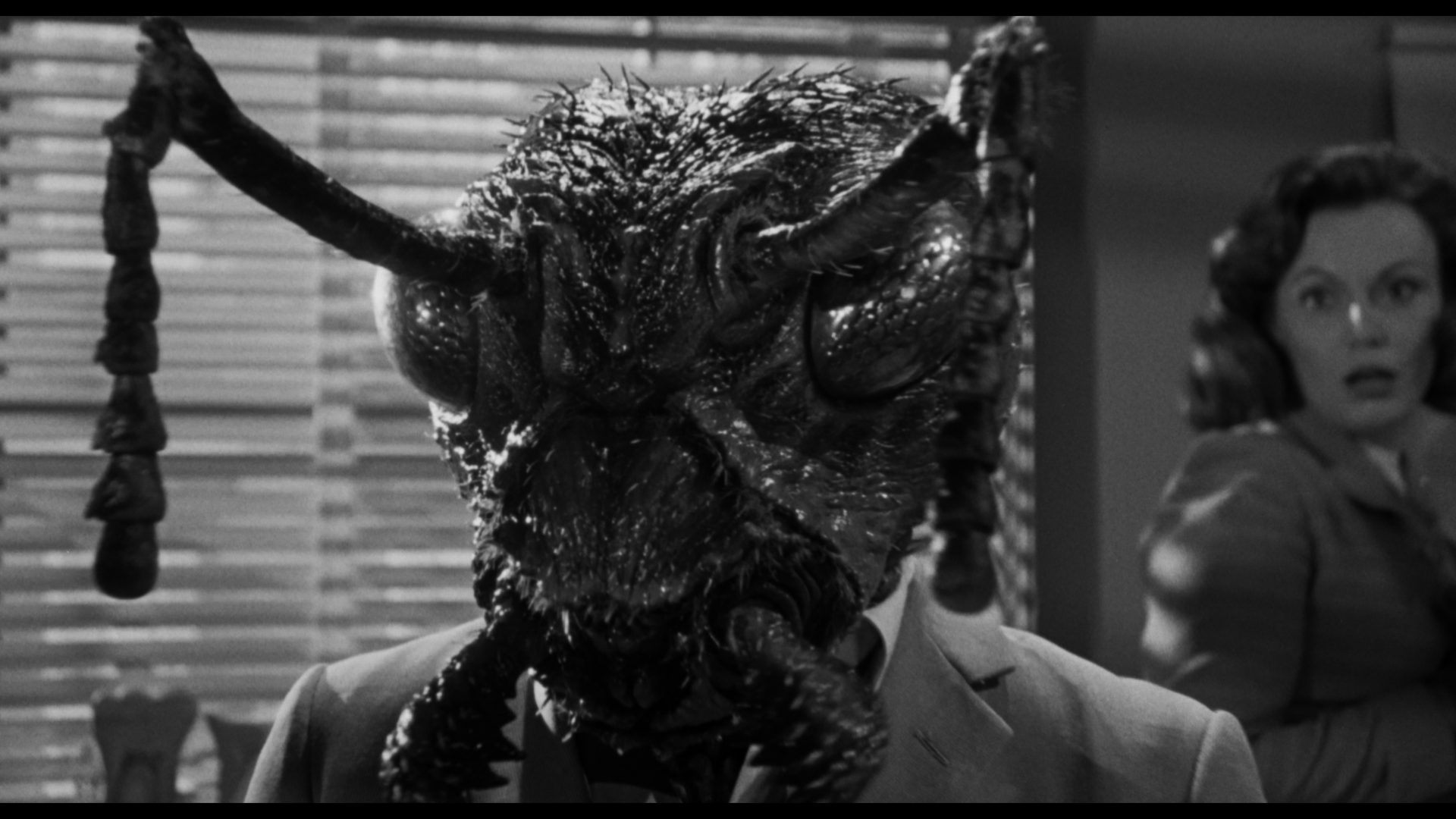 DoBlu.com – 4K UHD & Blu-ray Reviews | Matinee 4K UHD Review