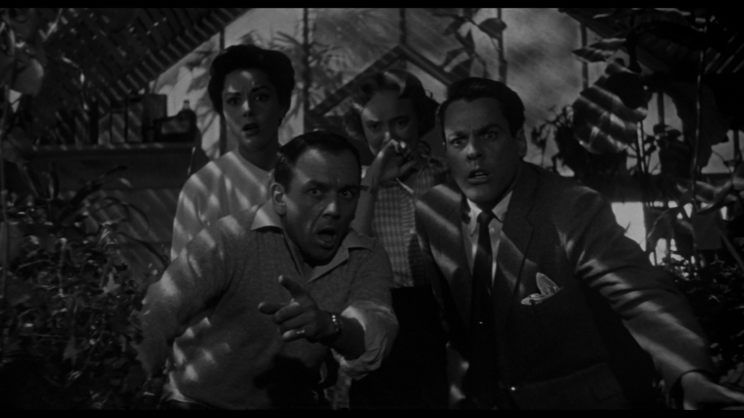 Invasion Of The Body Snatchers 1956 Screenshot