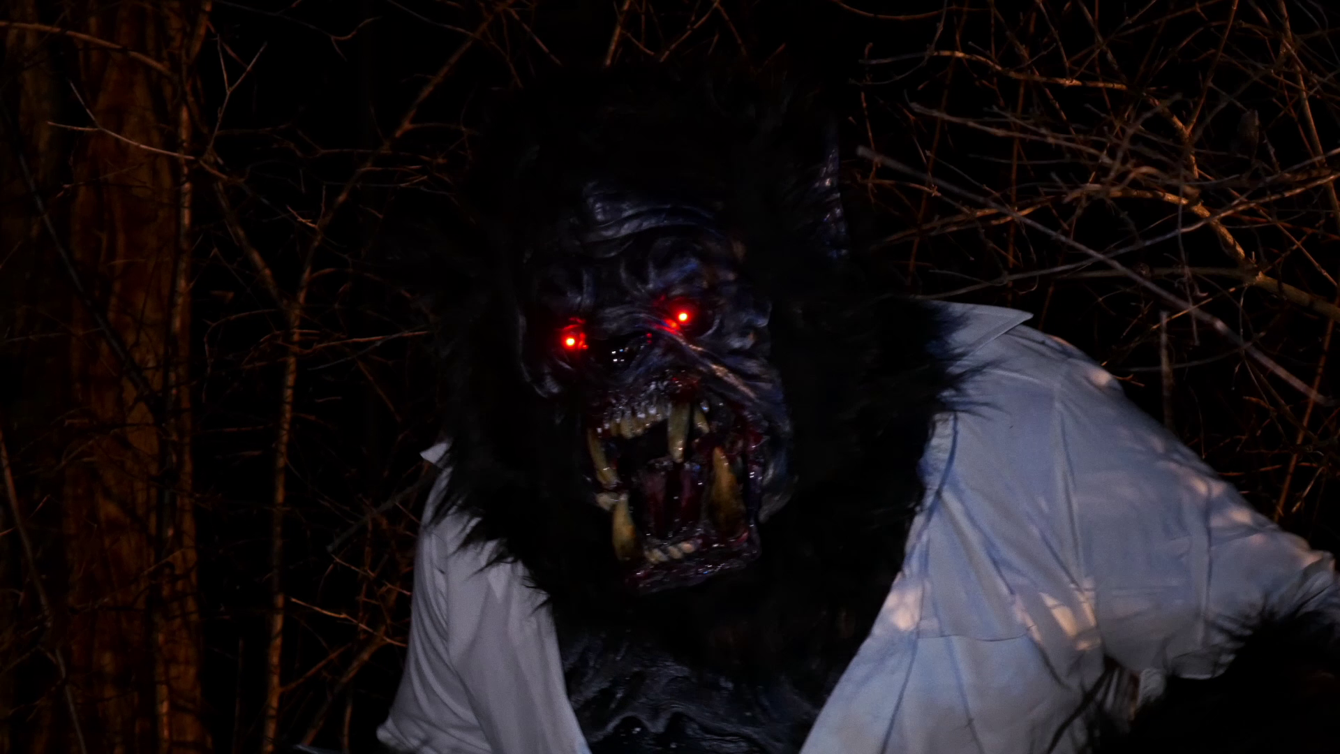 DoBlu.com – 4K UHD & Blu-ray Reviews | Cocaine Werewolf Blu-ray Review