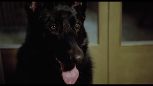 The Creature (1977) Blu-ray Review