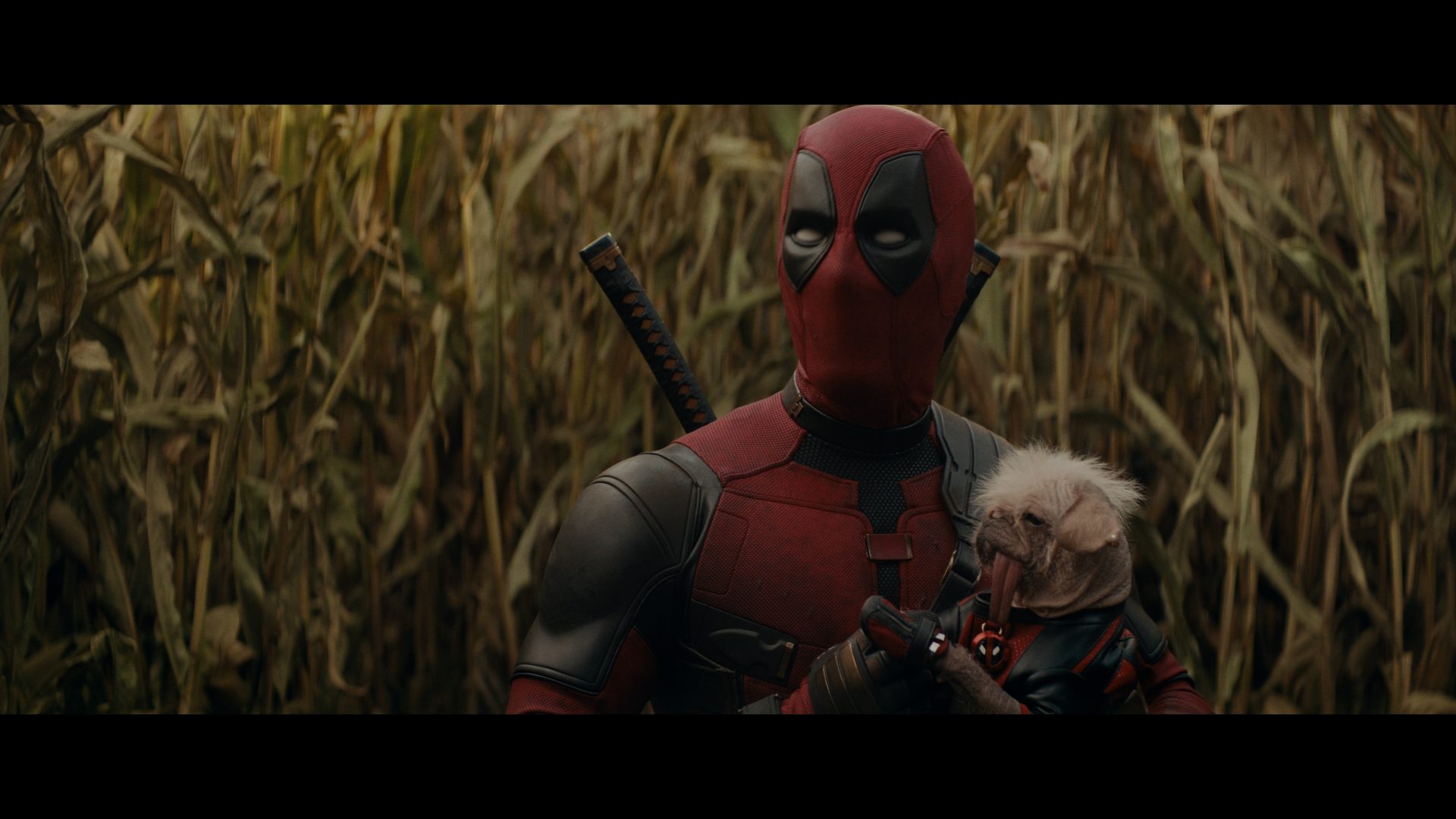 DoBlu.com – 4K UHD & Blu-ray Reviews | Deadpool & Wolverine 4K UHD Review