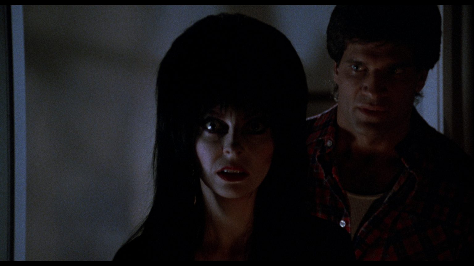DoBlu.com – 4K UHD & Blu-ray Reviews | Elvira: Mistress of the Dark 4K ...