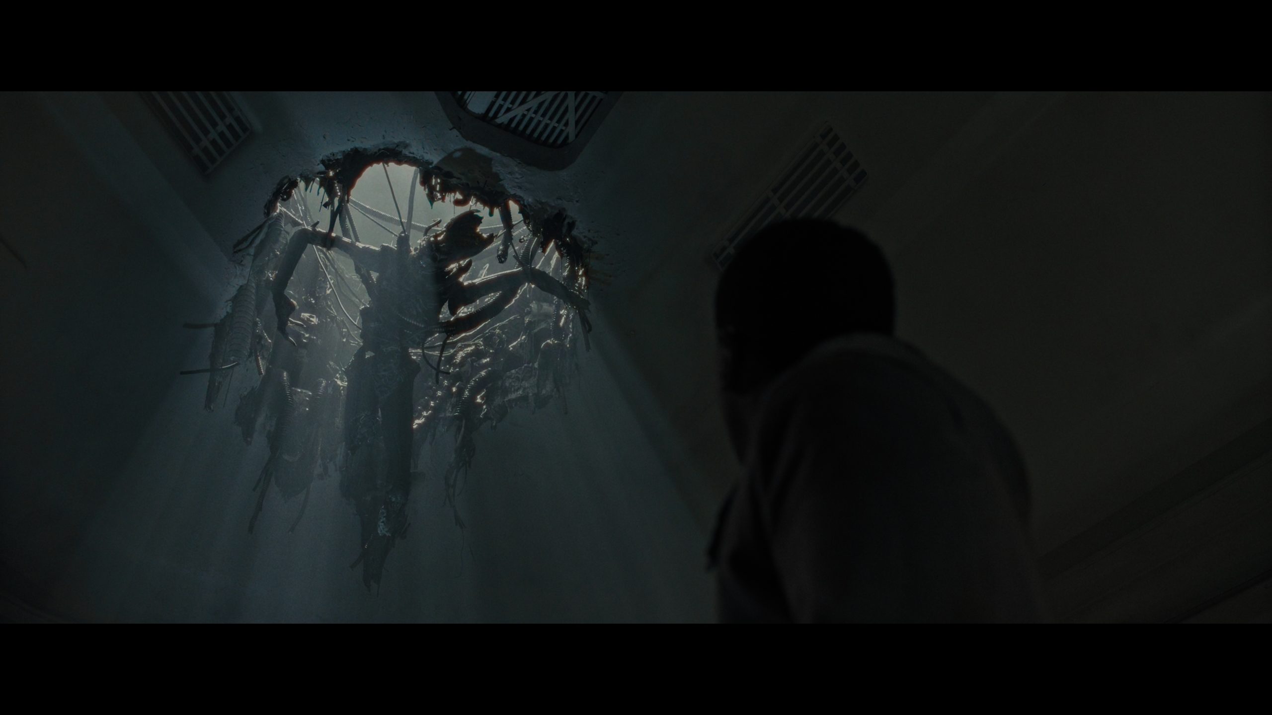 DoBlu.com – 4K UHD & Blu-ray Reviews | Alien Romulus 4K UHD Review