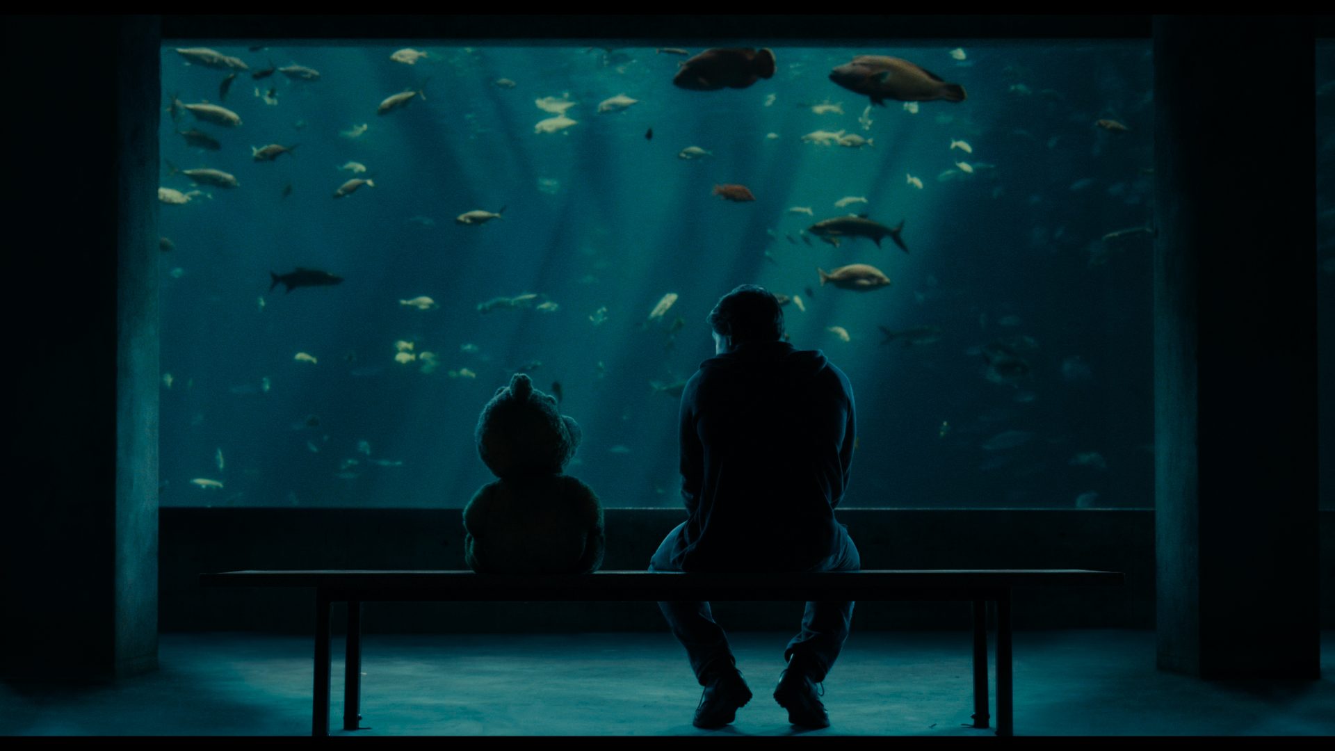 DoBlu.com – 4K UHD & Blu-ray Reviews | Ted (2012) 4K UHD Review