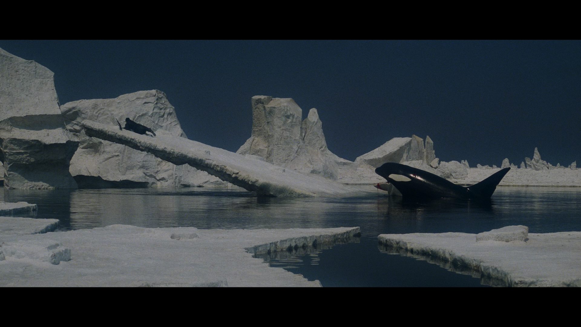 DoBlu.com – 4K UHD & Blu-ray Reviews | Orca 4K UHD Review