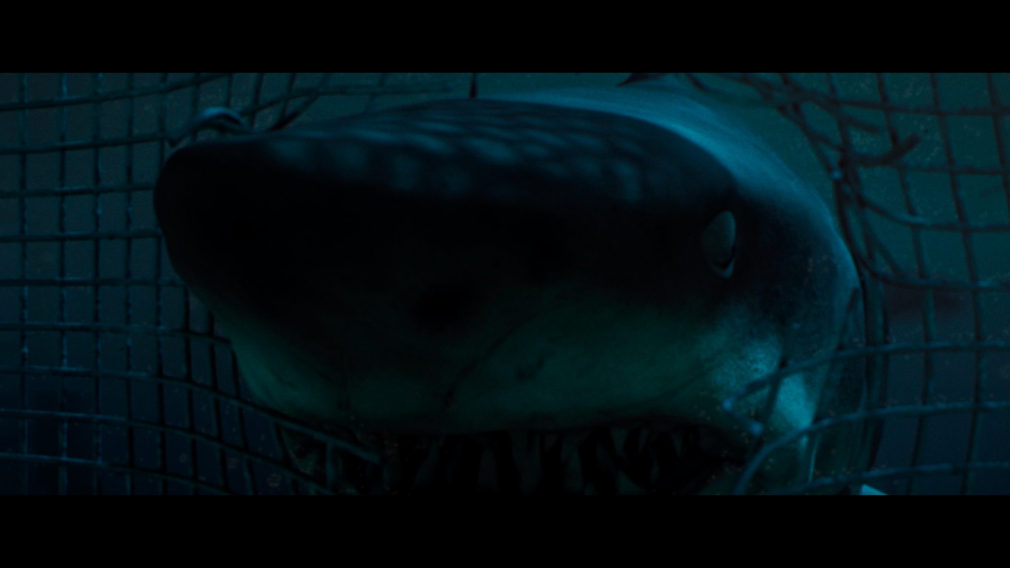 DoBlu.com – 4K UHD & Blu-ray Reviews | Deep Blue Sea 4K UHD Review