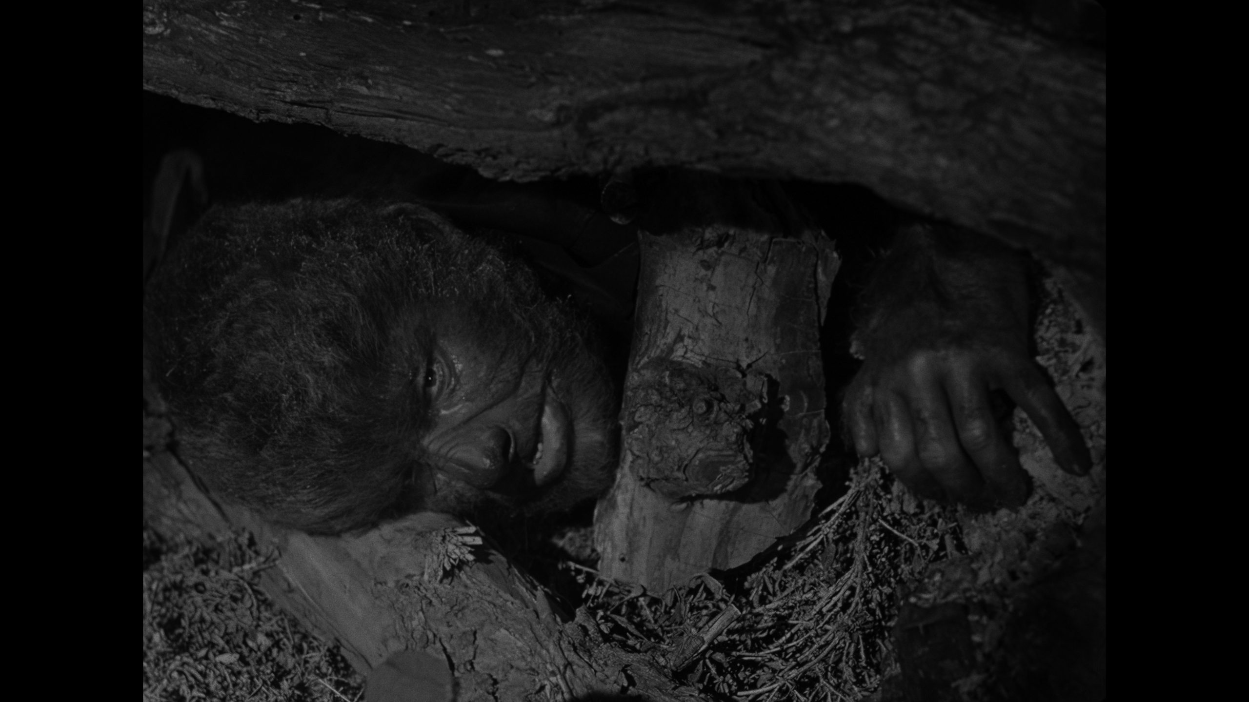 DoBlu.com – 4K UHD & Blu-ray Reviews | Abbott and Costello Meet ...